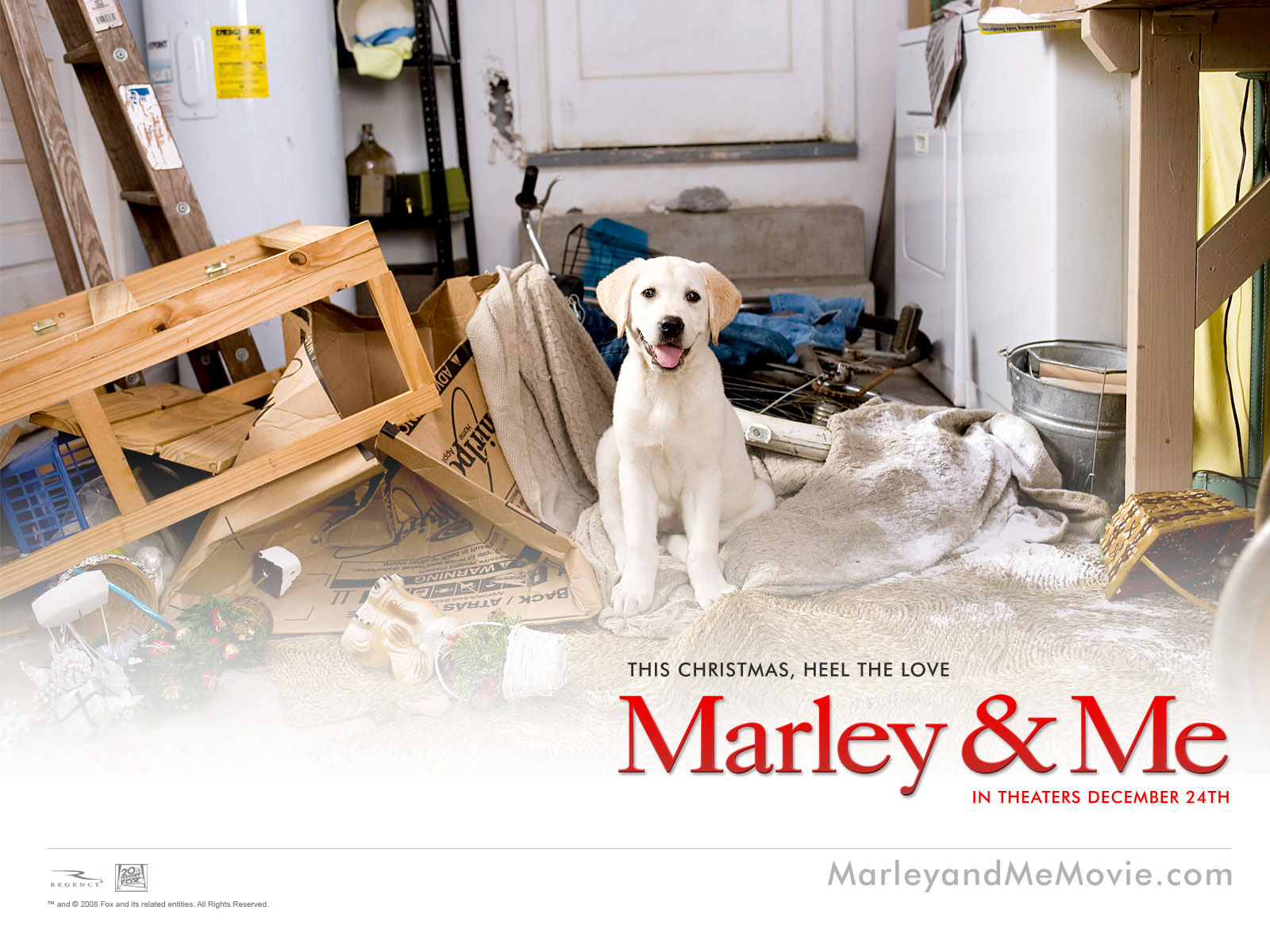 Marley And Me Wallpapers - Wallpaper Cave