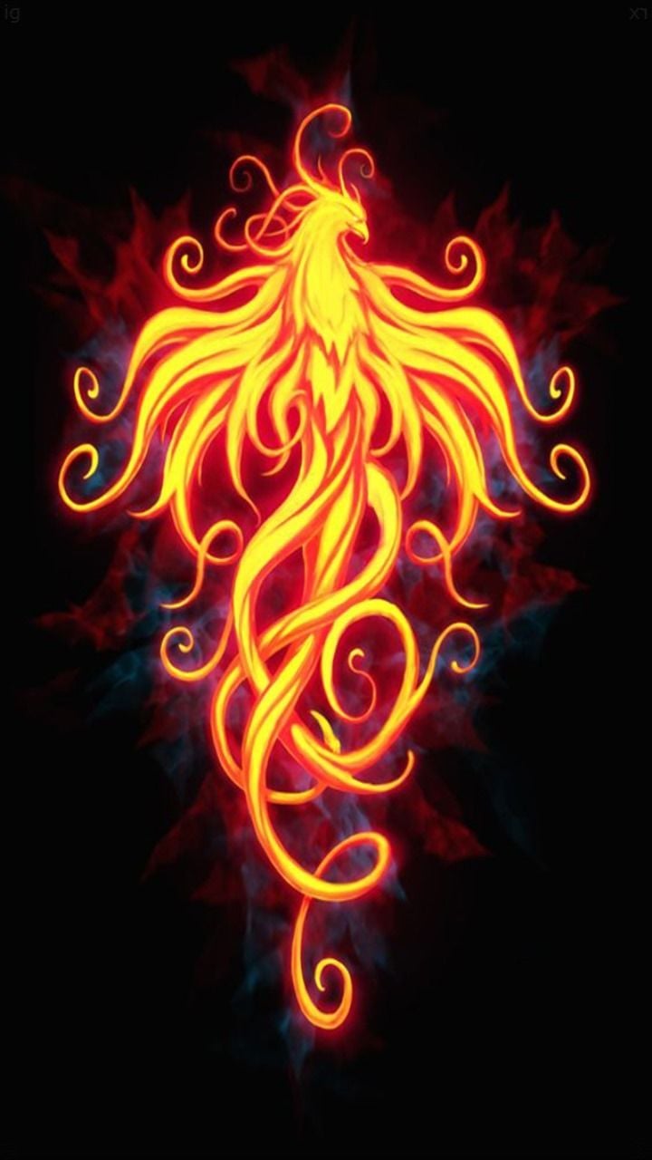 Neon Phoenix Wallpapers - Wallpaper Cave
