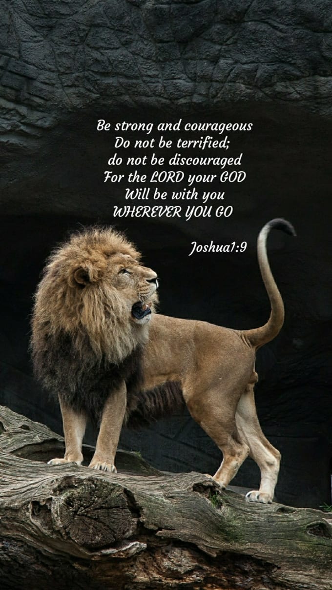 Lion Motivation Wallpapers - Wallpaper Cave