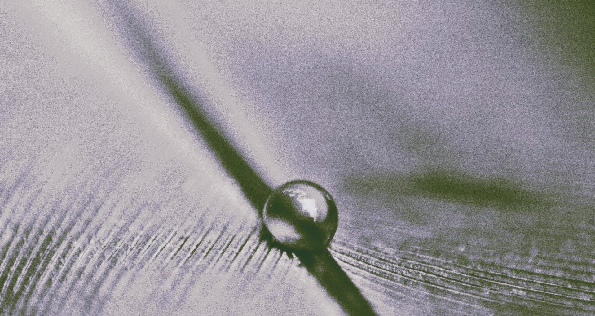 1920x1020 Wallpapers - Wallpaper Cave