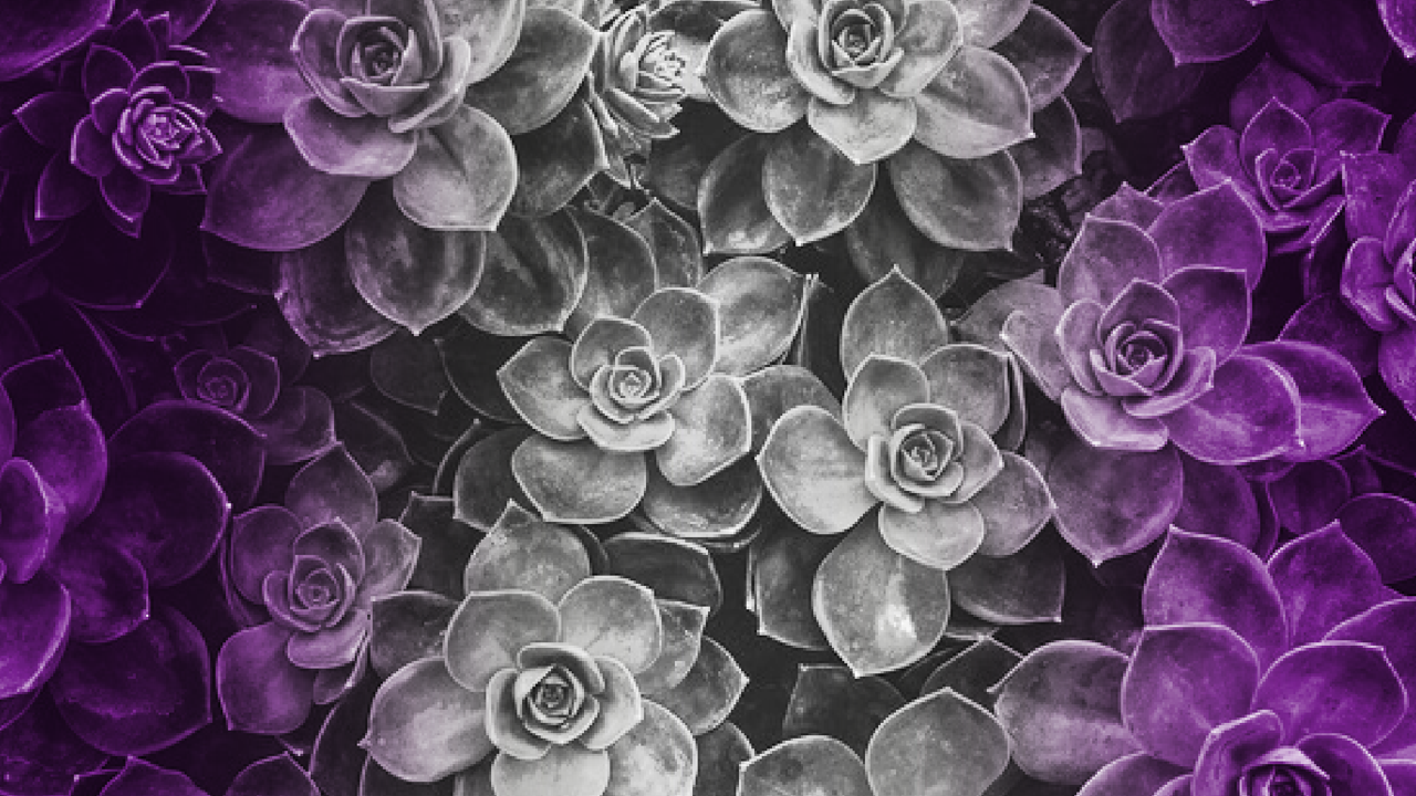 Biromantic Wallpapers - Wallpaper Cave