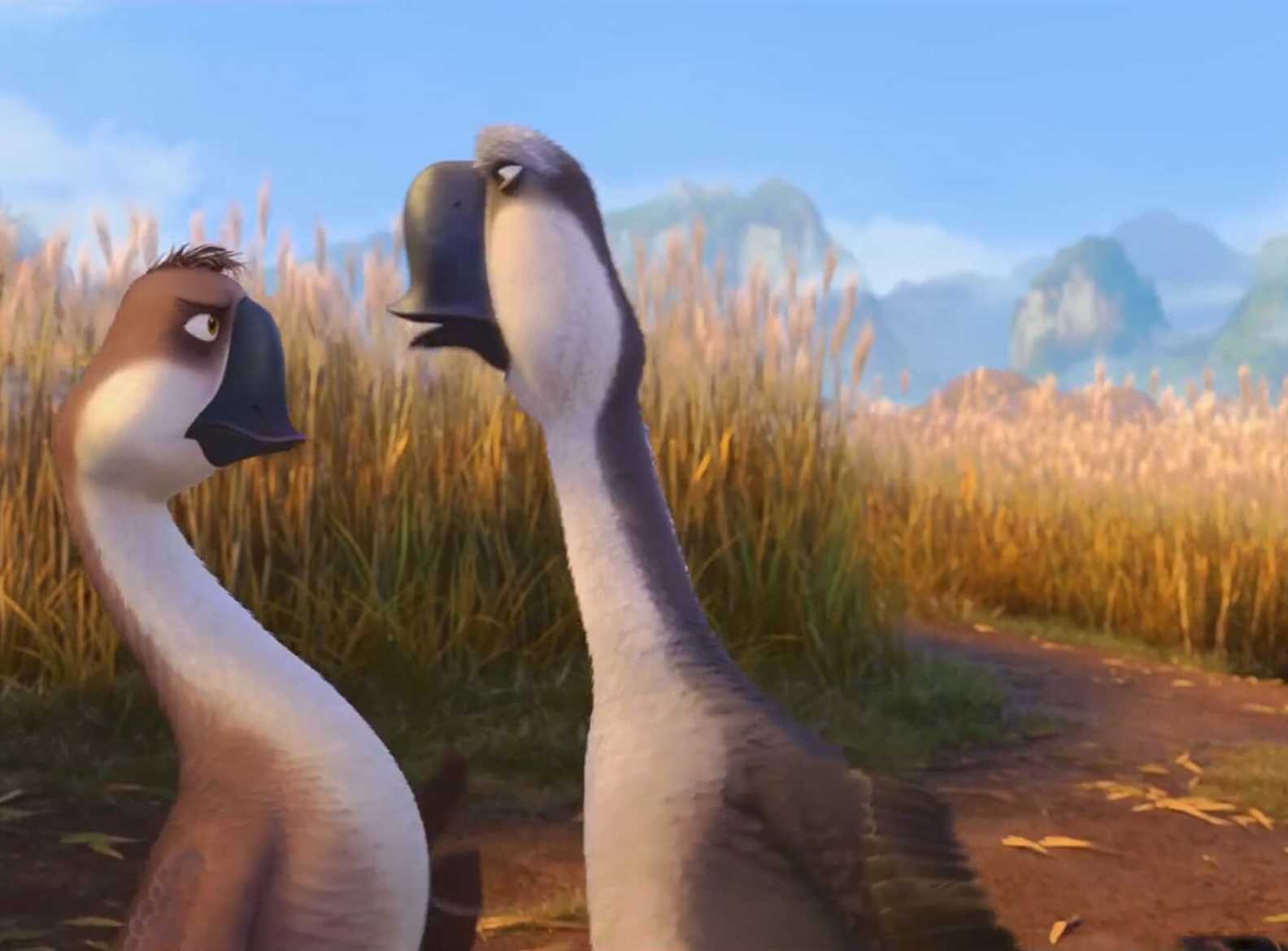 Duck Duck Goose Wallpapers - Wallpaper Cave