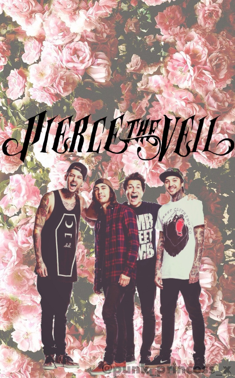 PTV Wallpapers - Wallpaper Cave