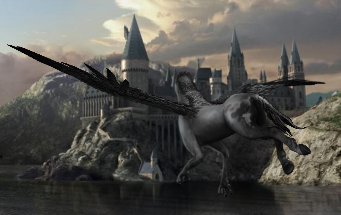 Buckbeak Wallpapers - Wallpaper Cave