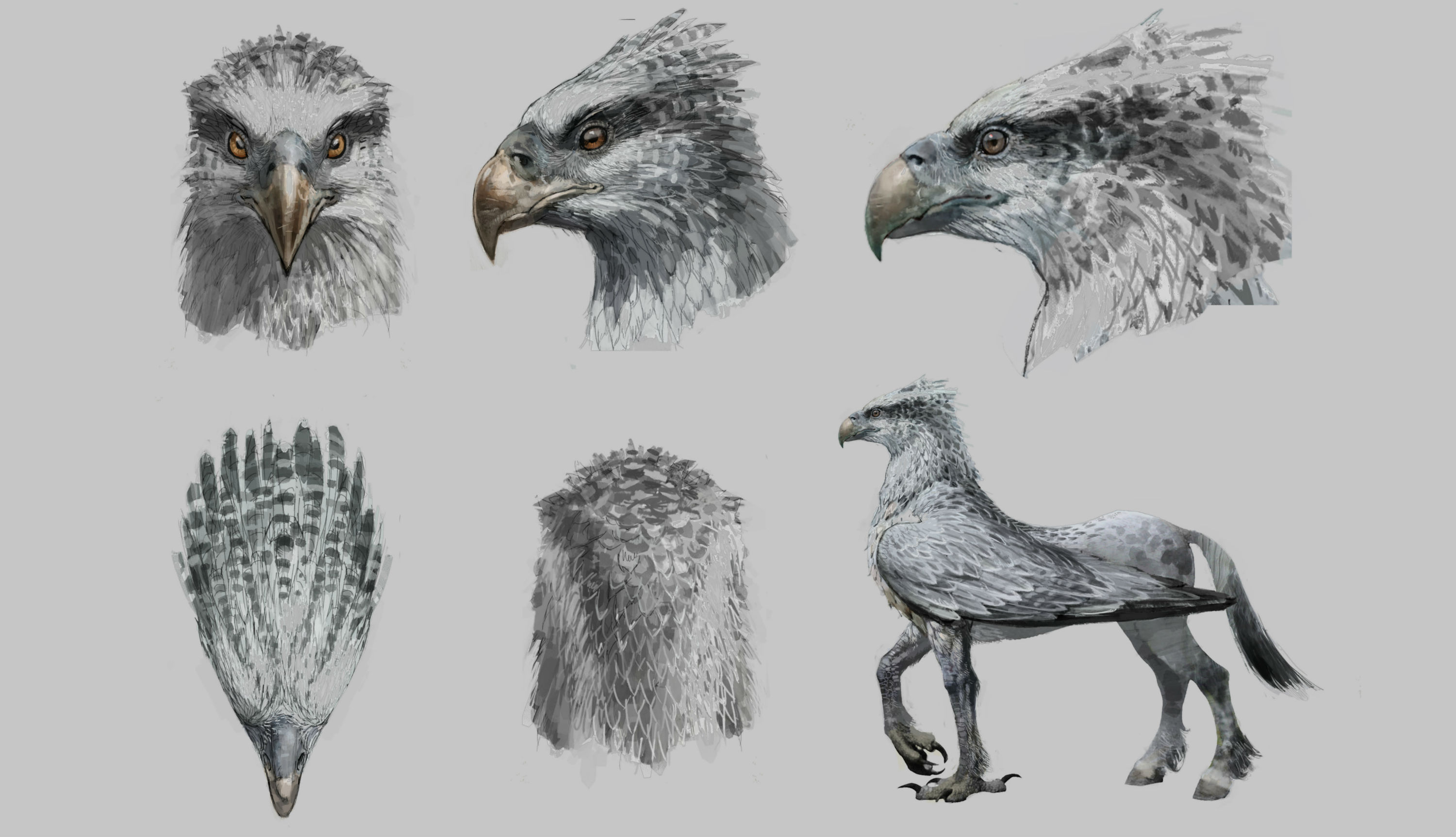 Buckbeak Wallpapers - Wallpaper Cave