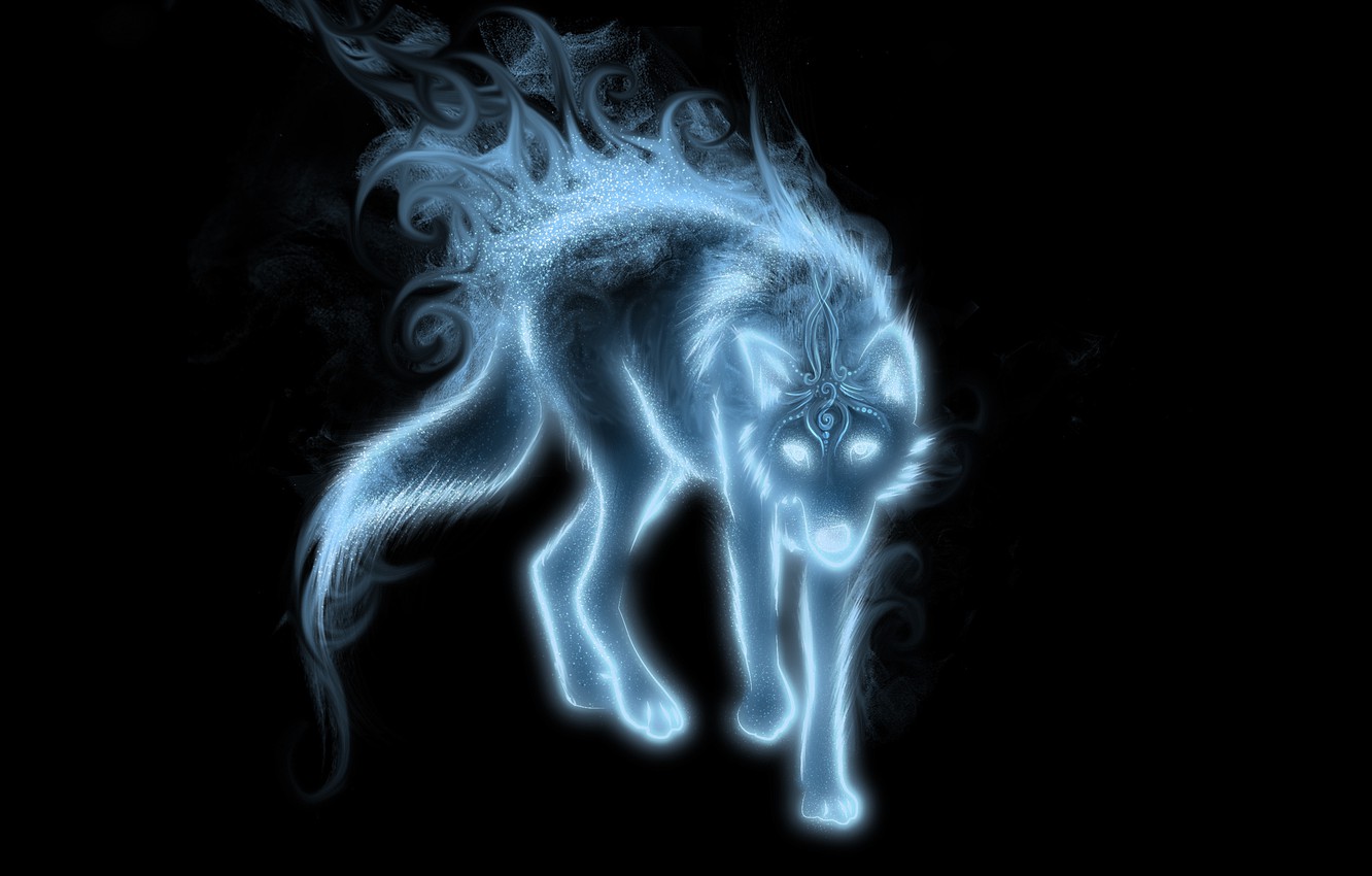 Dark Fox Wallpapers - Wallpaper Cave