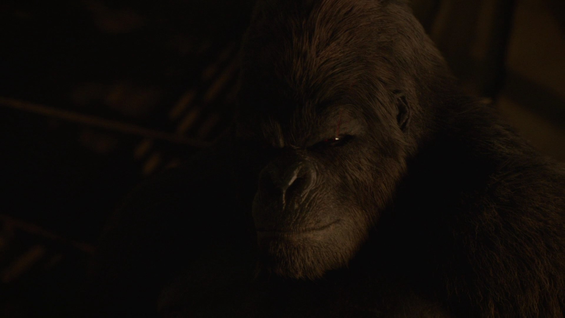 Gorilla Grodd Wallpapers - Wallpaper Cave