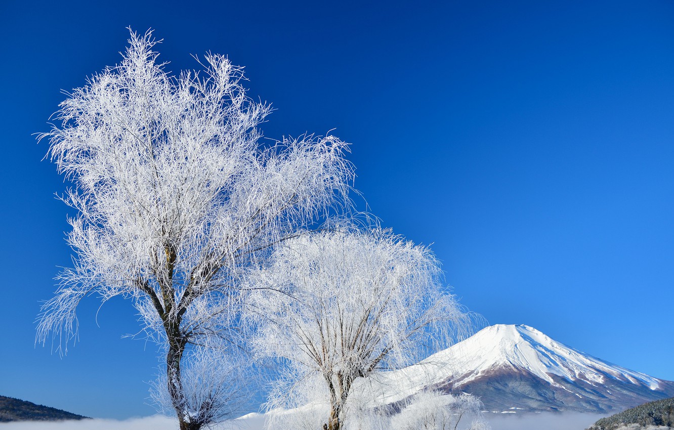 Mount Fuji Winter Wallpapers - Wallpaper Cave