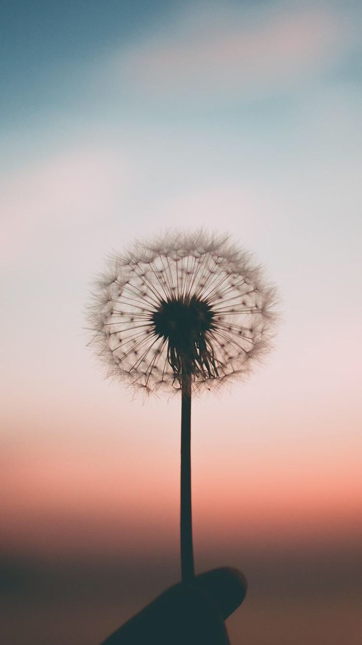 Make A Wish Wallpapers - Wallpaper Cave