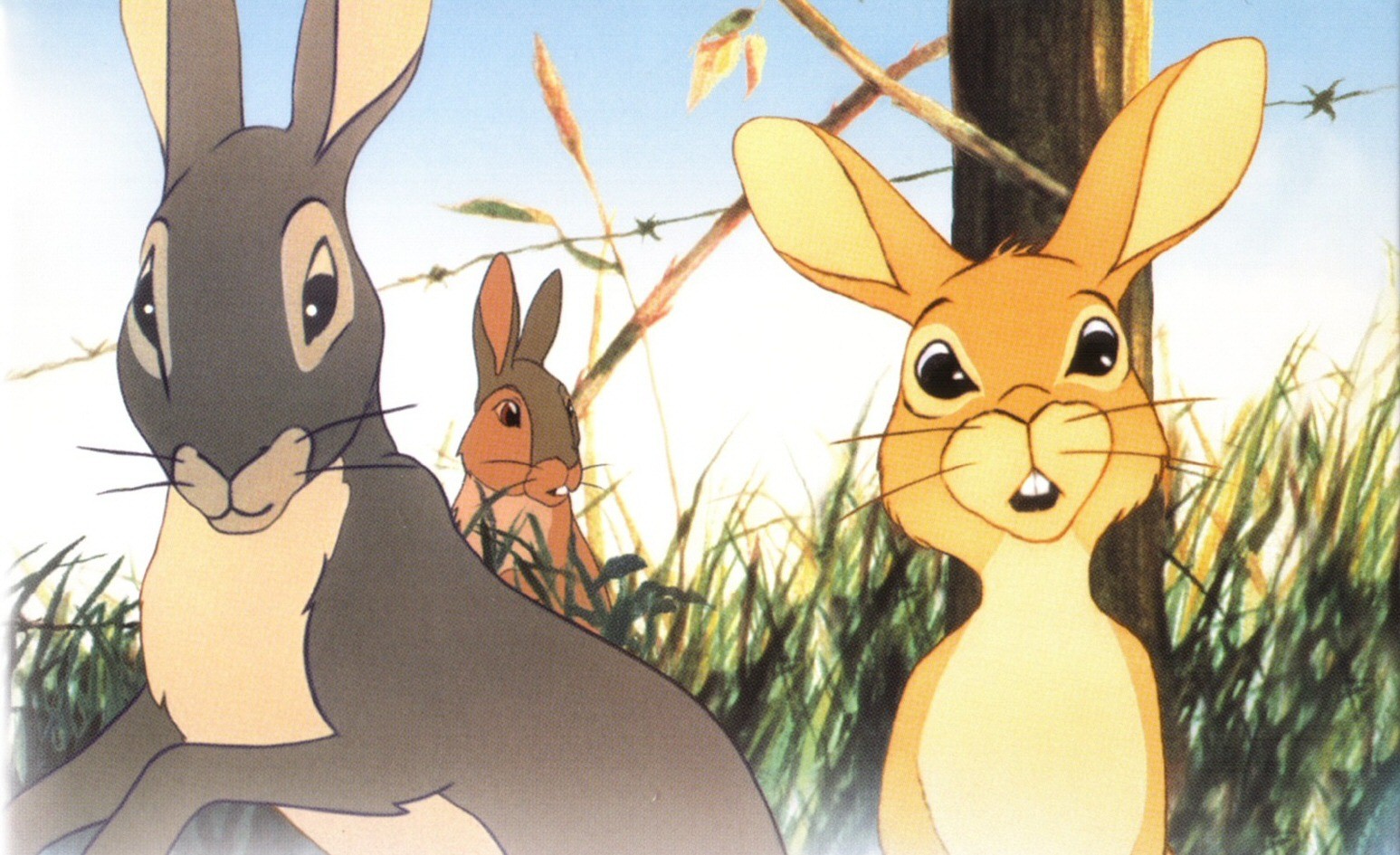 Watership Down Wallpapers - Wallpaper Cave