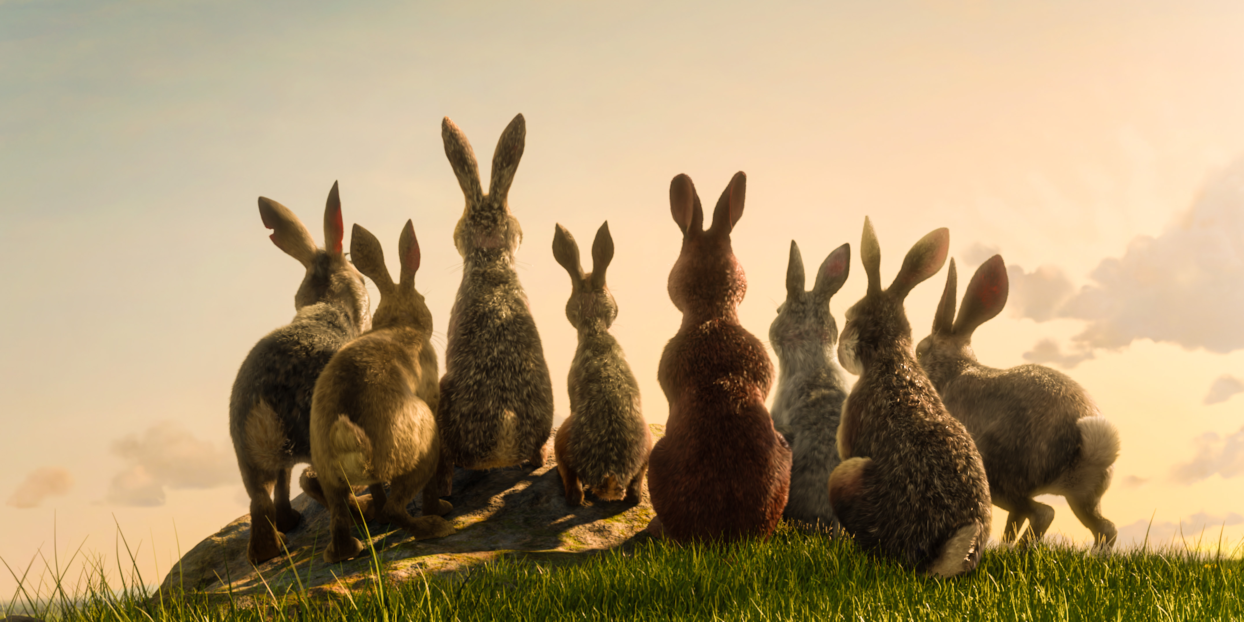 Watership Down Wallpapers - Wallpaper Cave