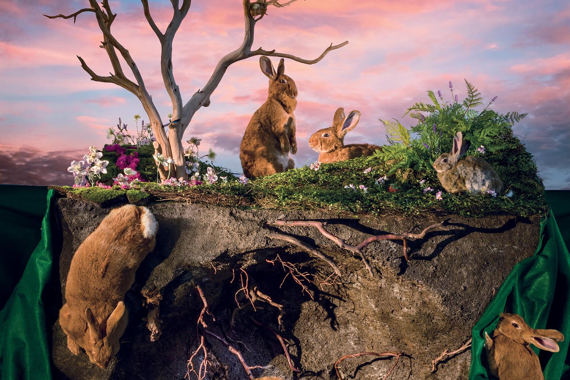 Watership Down Wallpapers - Wallpaper Cave
