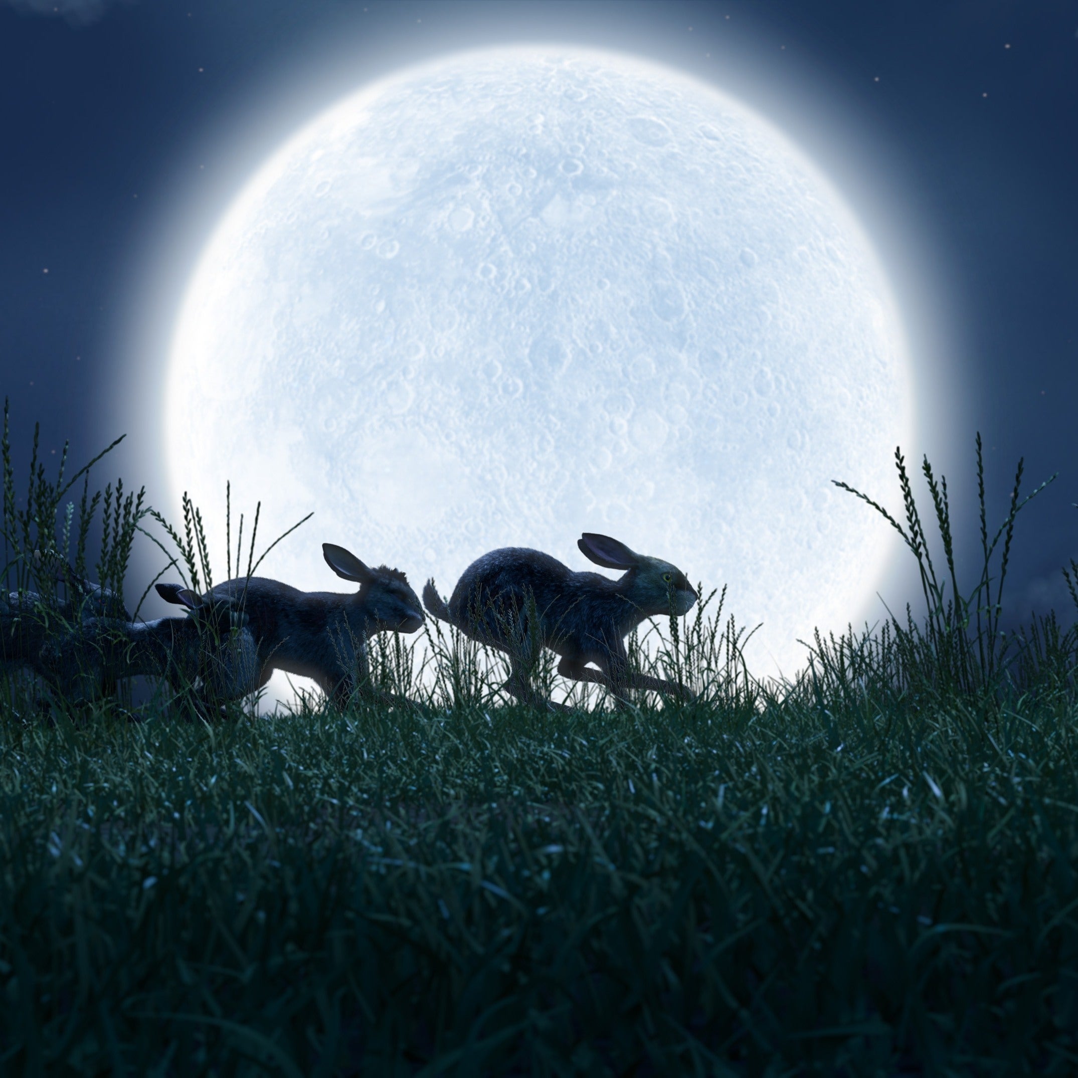 Watership Down Wallpapers - Wallpaper Cave