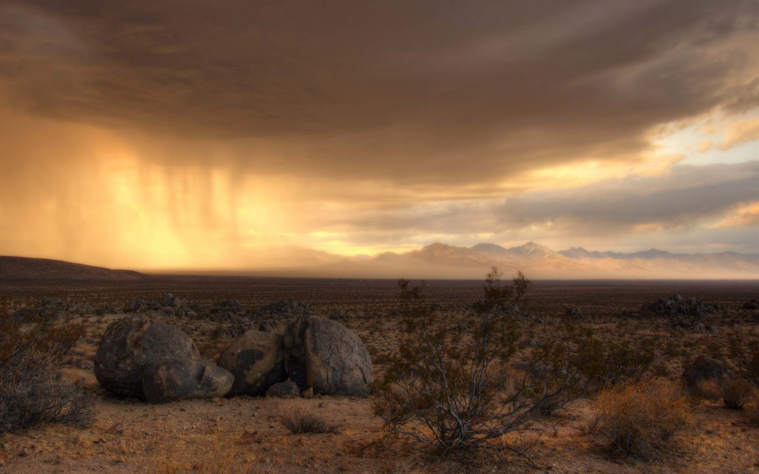 War Field Wallpapers - Wallpaper Cave