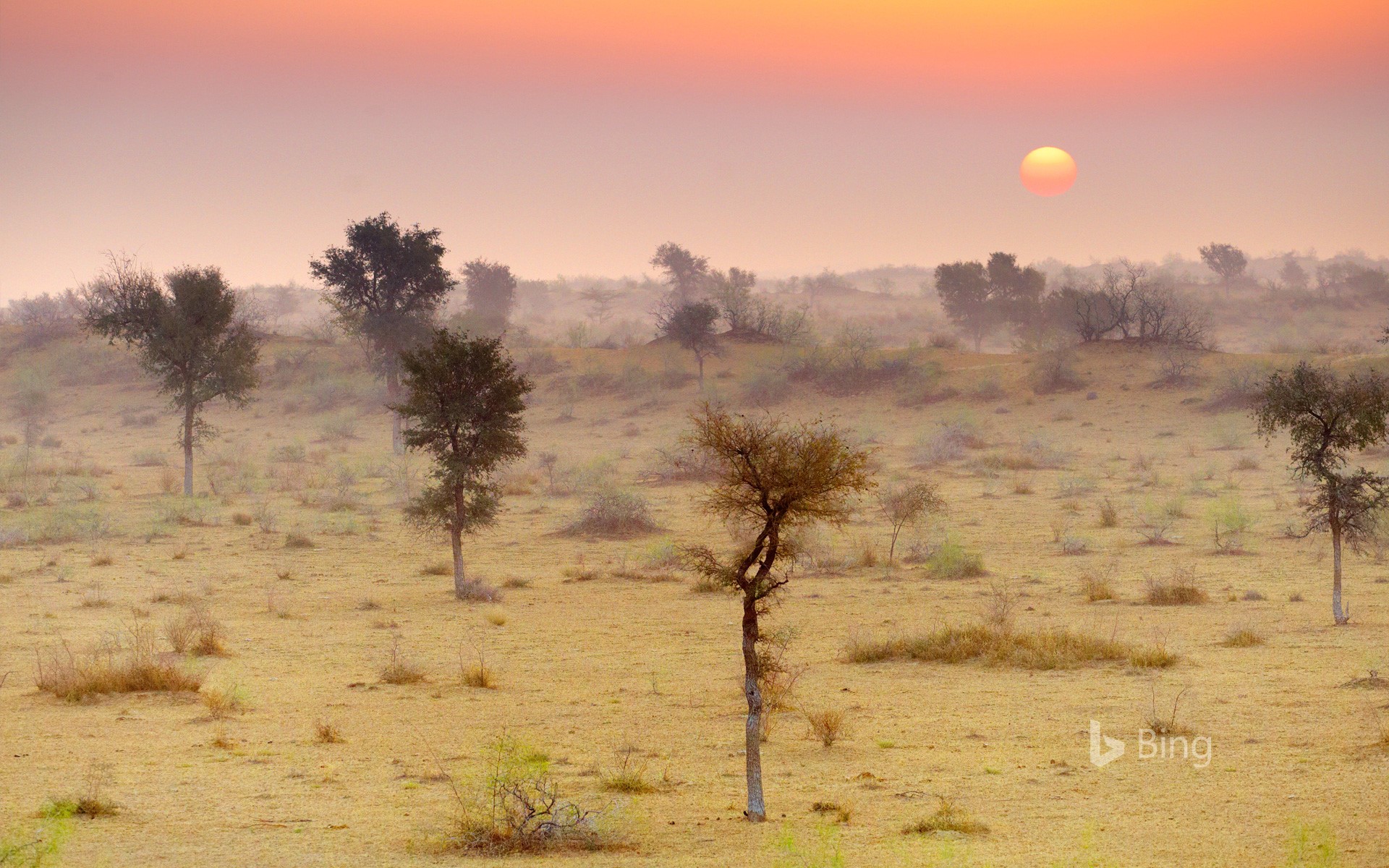 Thar Desert Wallpapers - Wallpaper Cave