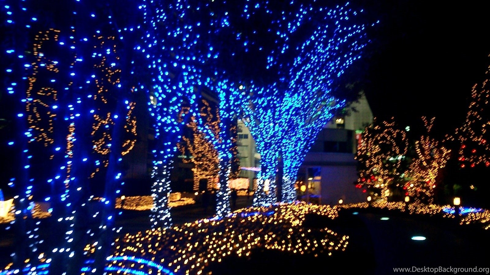 Christmas View Wallpapers - Wallpaper Cave