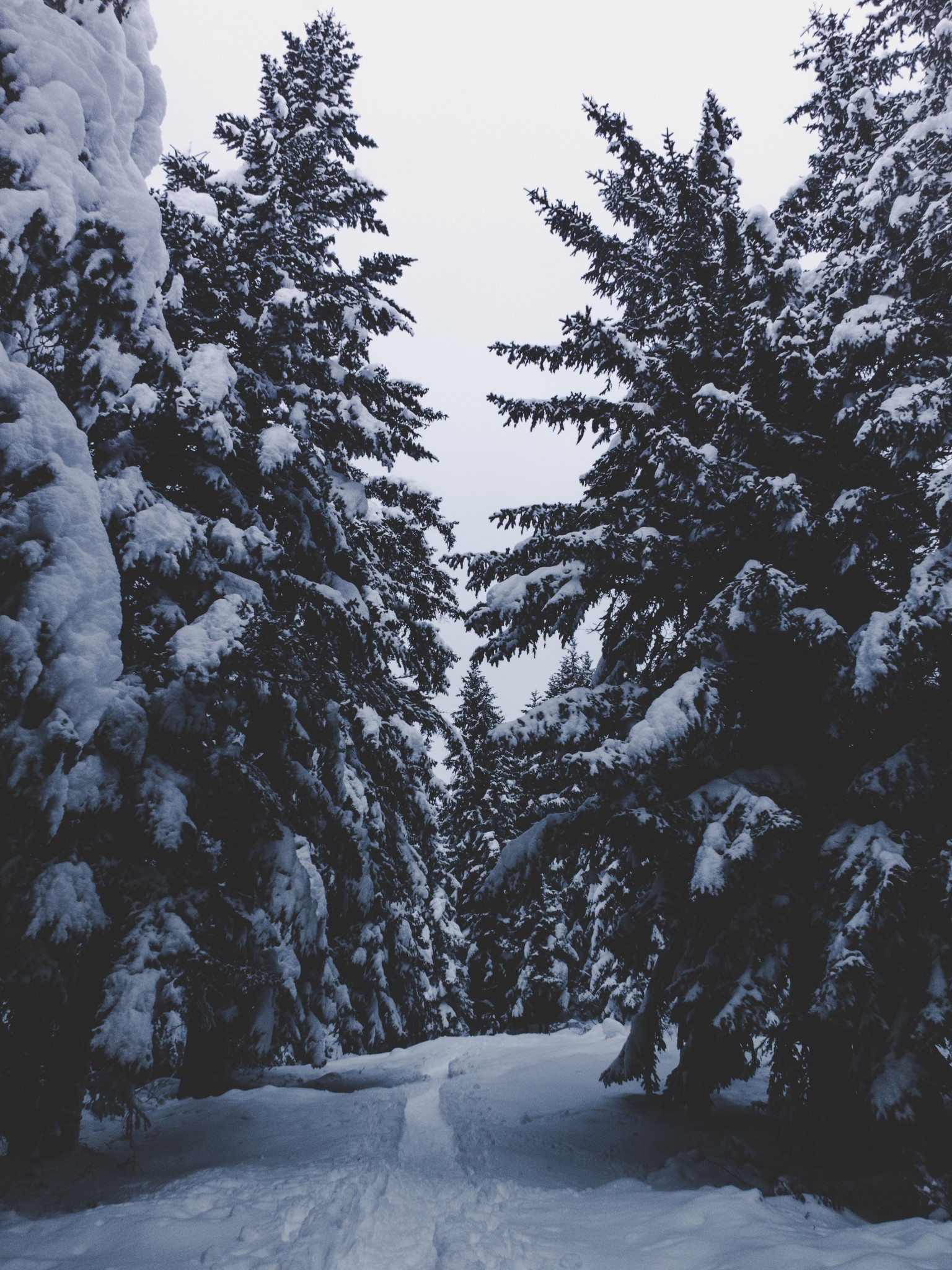 Winter Snow Phone Wallpapers - Wallpaper Cave