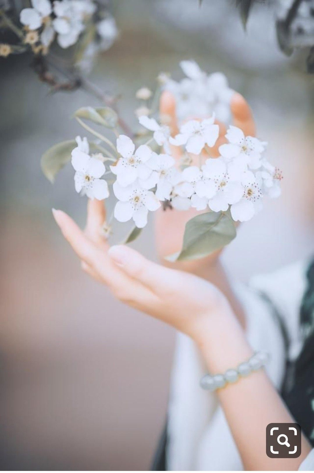Flower In Hand Wallpapers - Wallpaper Cave