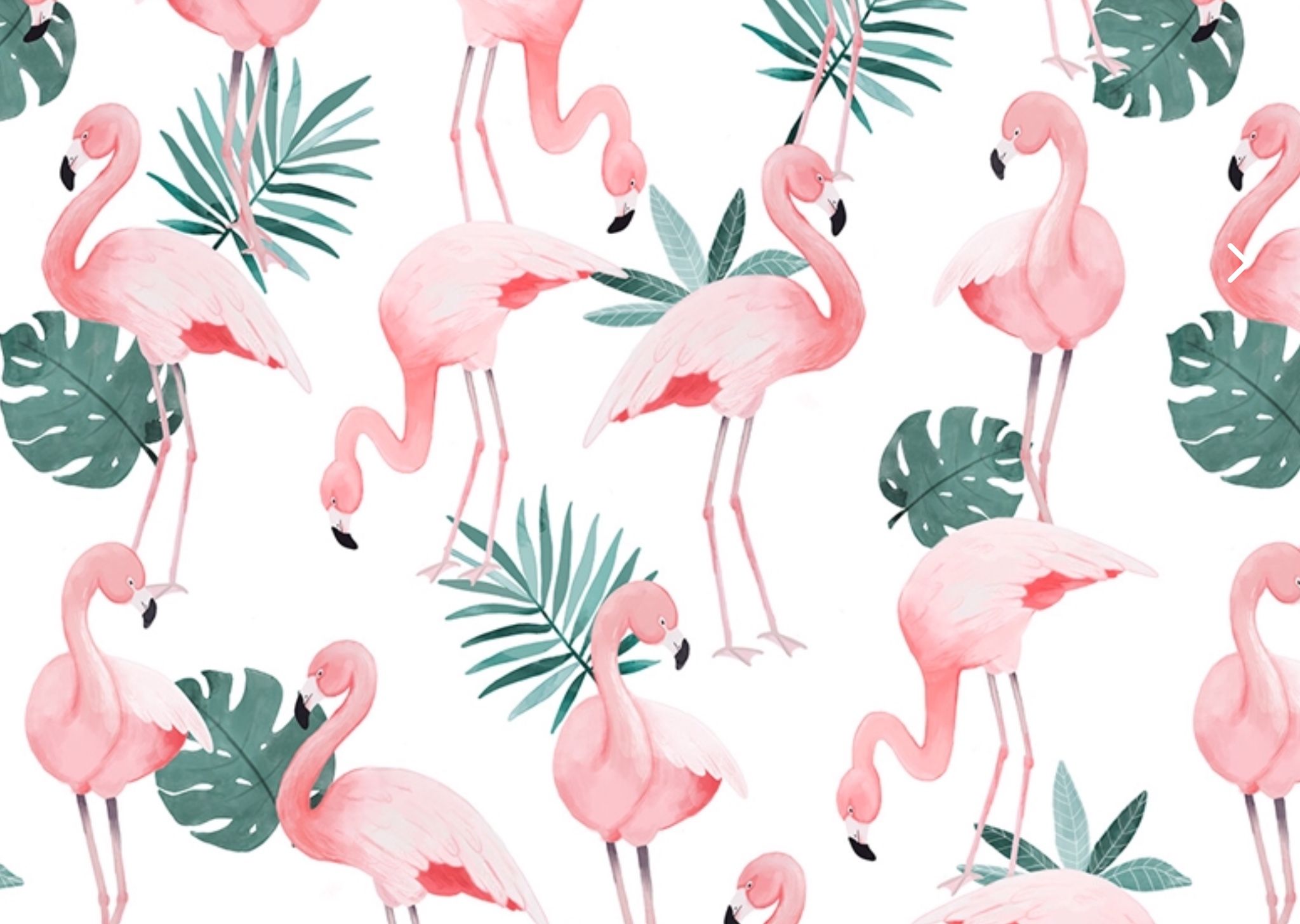 Pink Flamingo Wallpapers - Wallpaper Cave