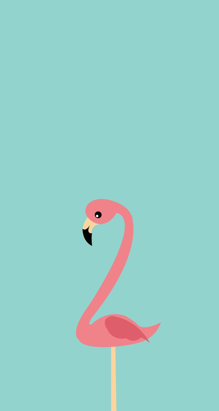 Cute Flamingo Wallpapers - Wallpaper Cave
