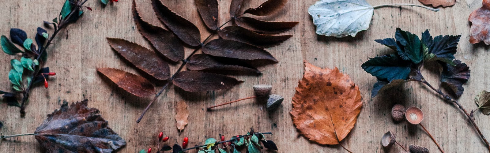 Autumn Cottagecore Wallpapers - Wallpaper Cave