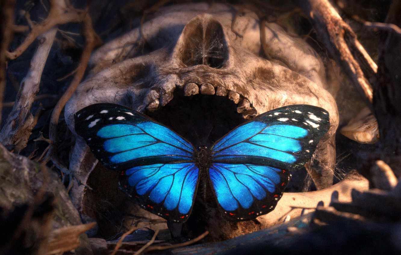 Skull Butterflies Wallpapers - Wallpaper Cave