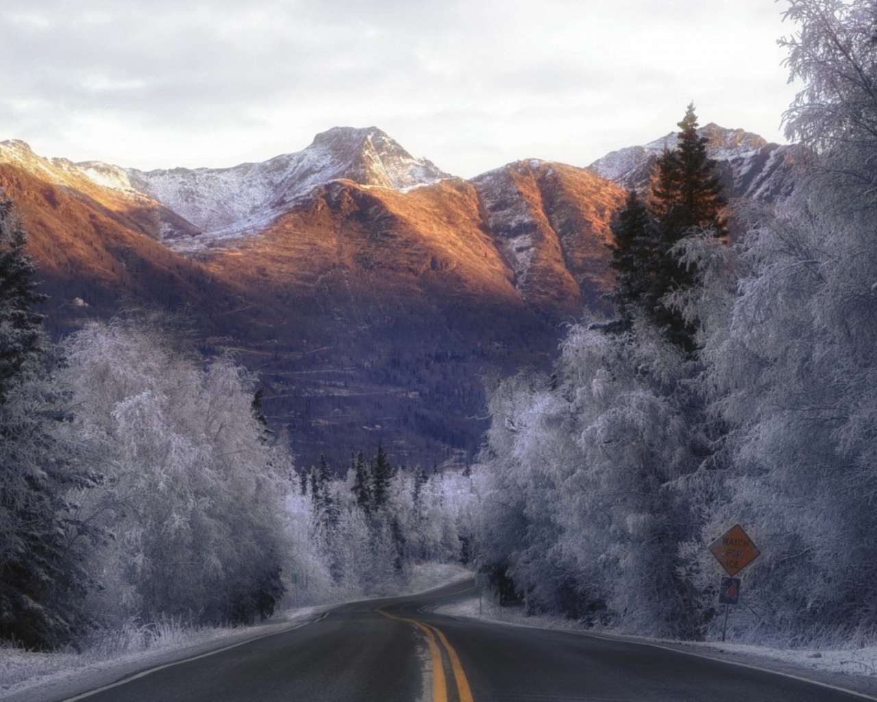 Tree Winter Mountain Wallpapers - Wallpaper Cave