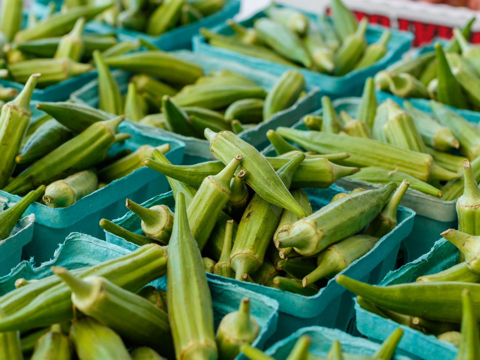 Okra Wallpapers - Wallpaper Cave