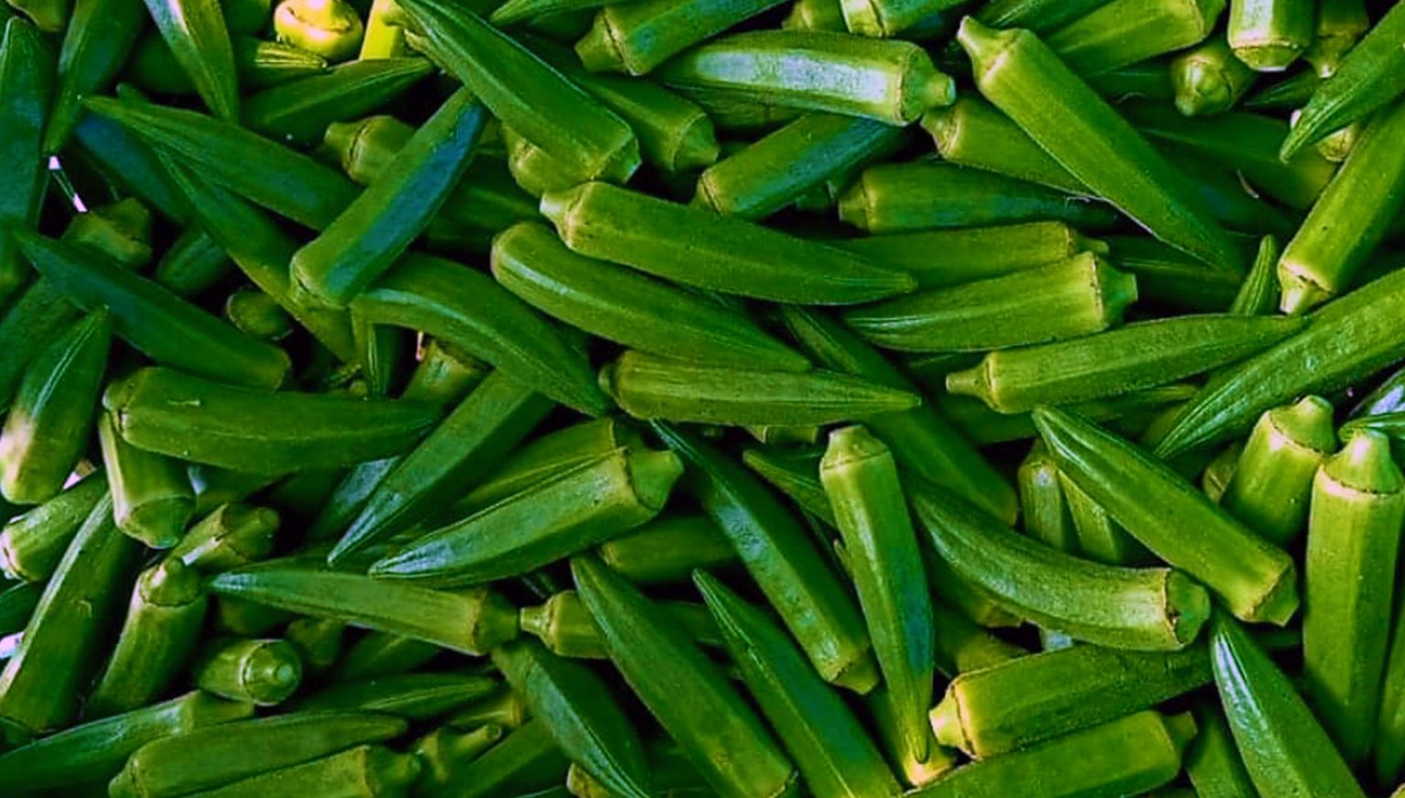 Okra Wallpapers - Wallpaper Cave
