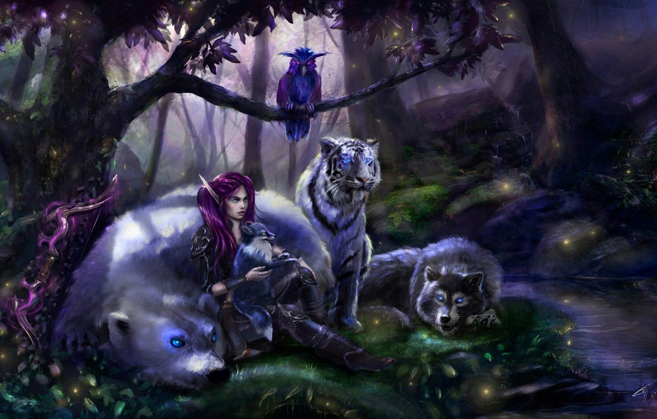 Wolf And Owl Wallpapers - Wallpaper Cave
