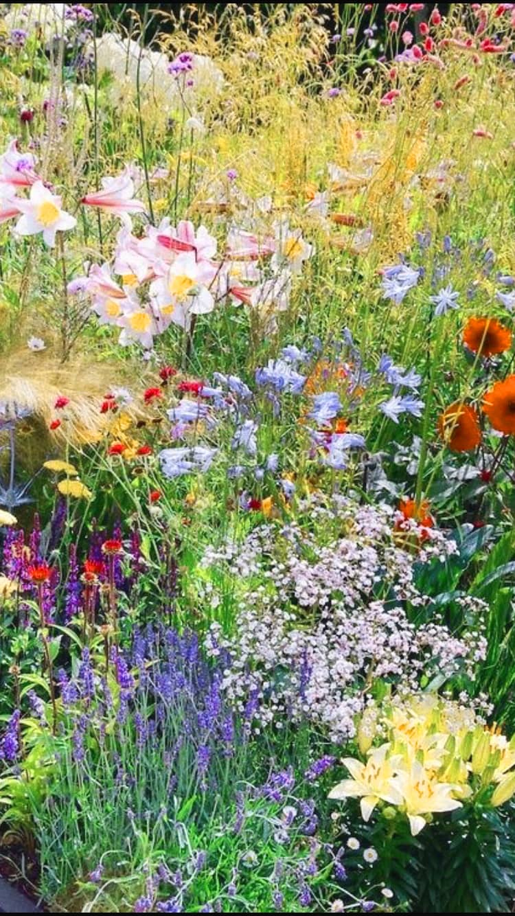 Cottagecore Flower Wallpapers - Wallpaper Cave