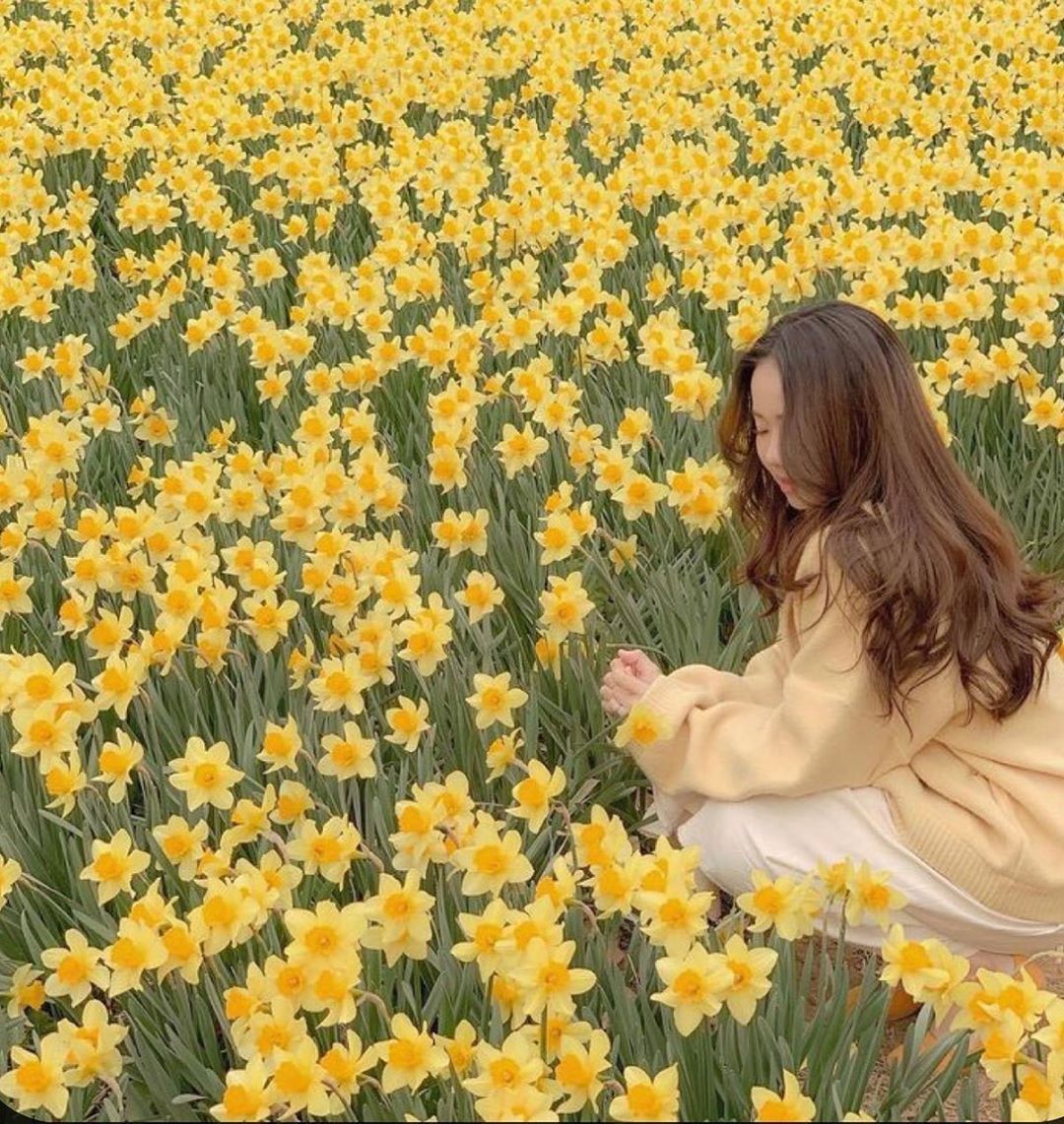 Cottagecore Flower Wallpapers - Wallpaper Cave