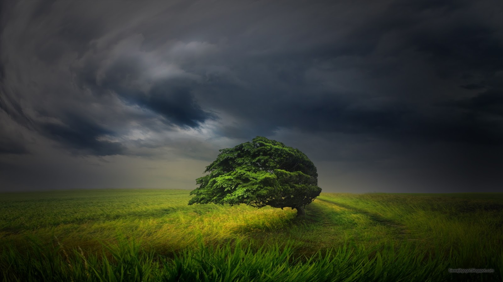 Assam Fields Wallpapers - Wallpaper Cave