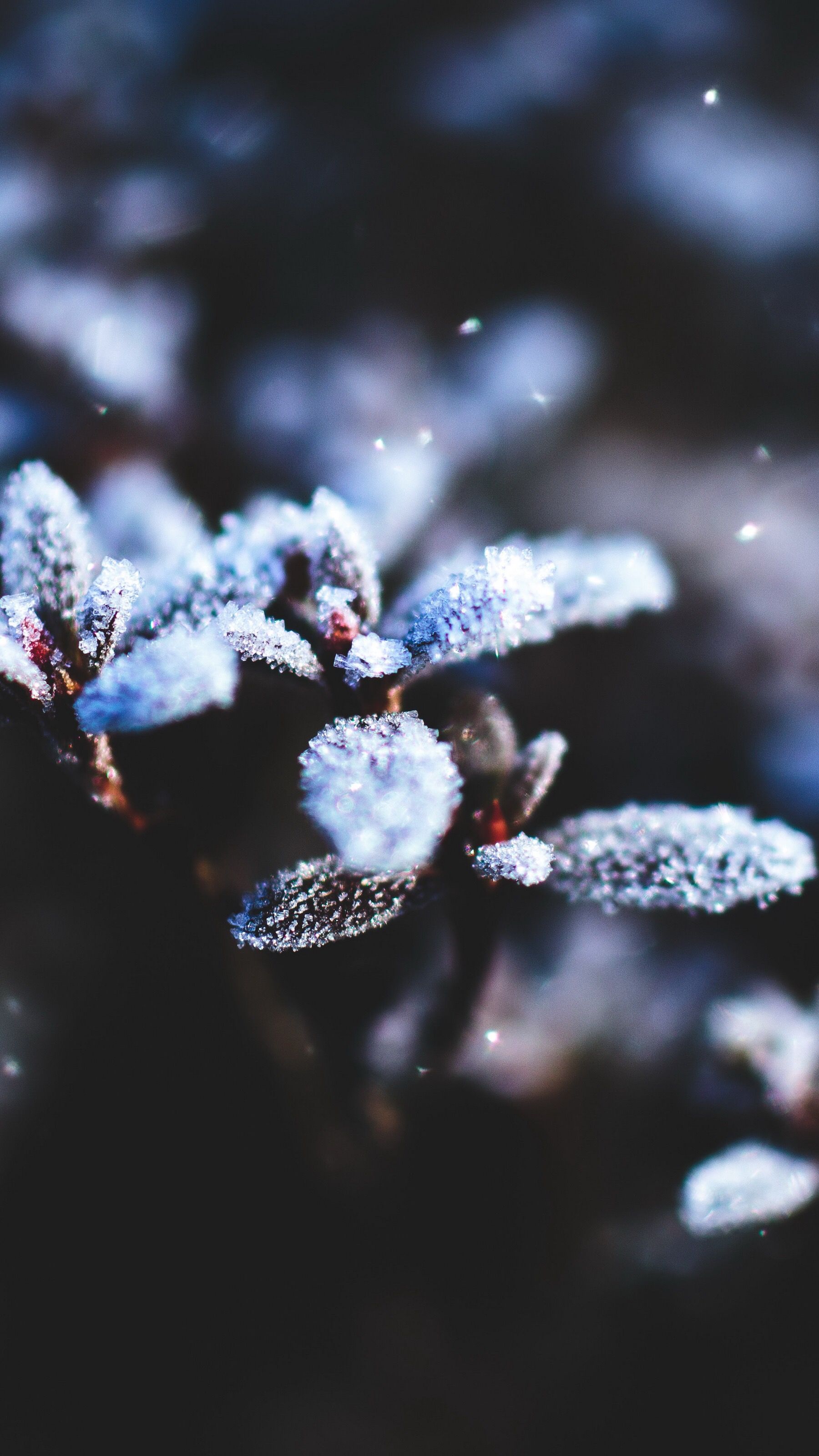 1800x3200 Wallpapers - Wallpaper Cave