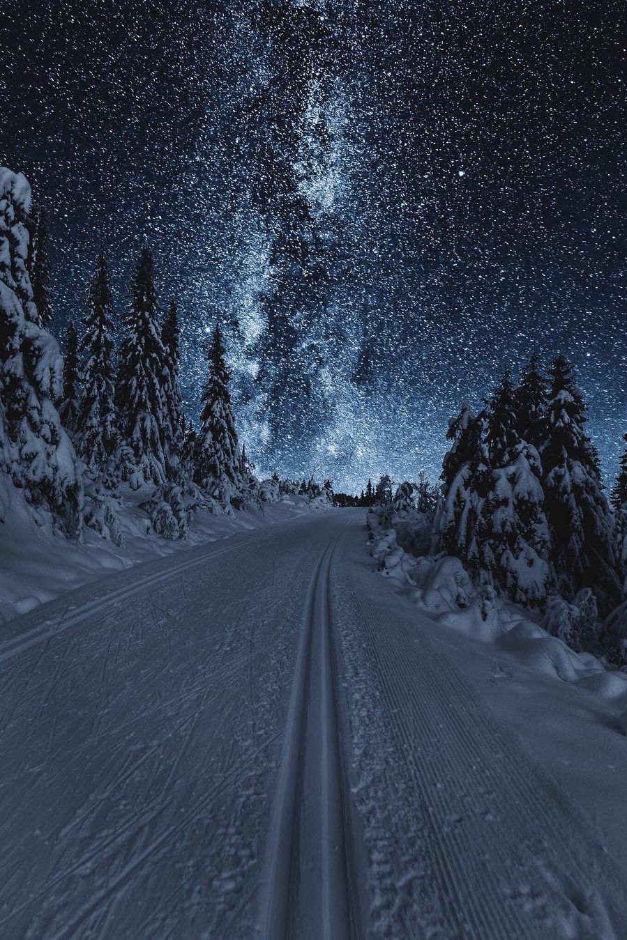 Winter Night Vertical Wallpapers - Wallpaper Cave