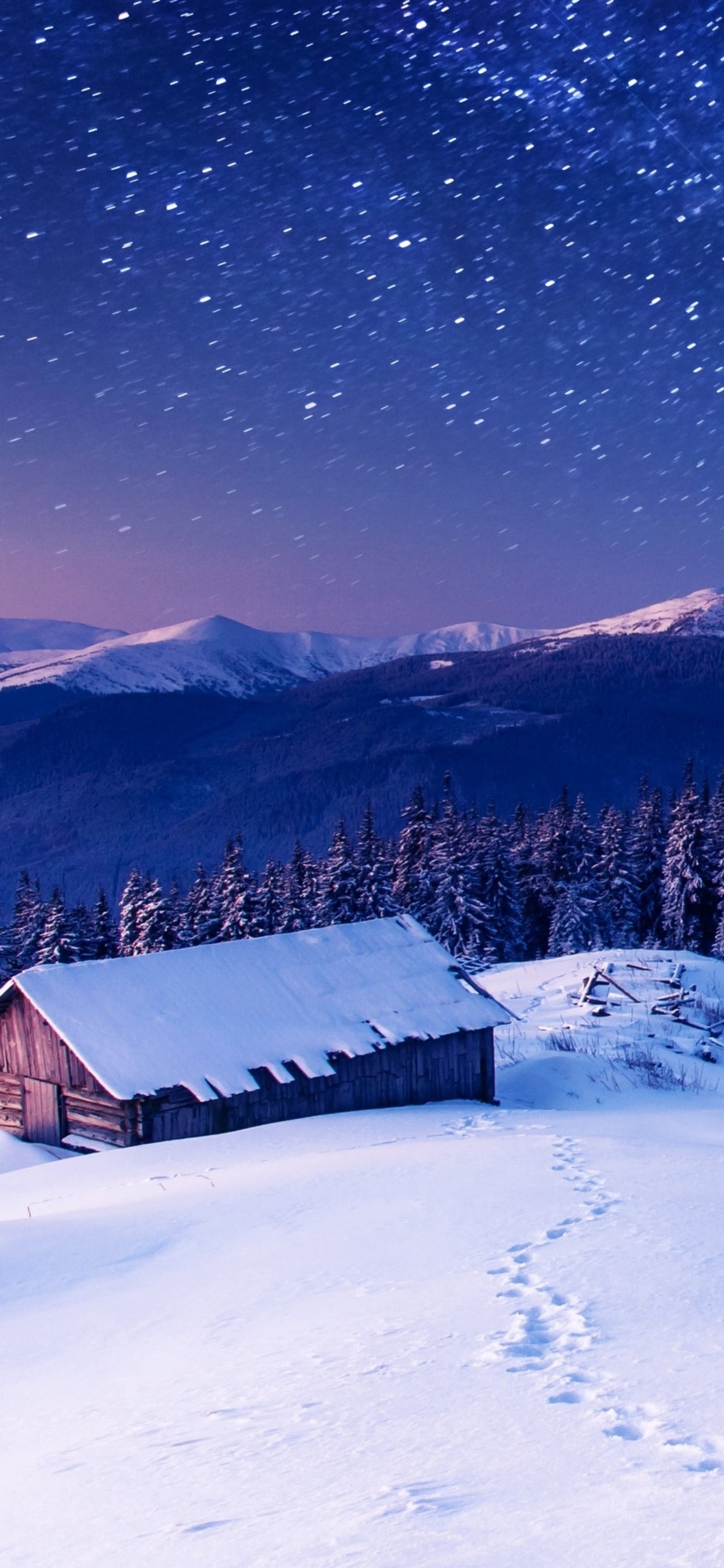 Winter Night Vertical Wallpapers - Wallpaper Cave