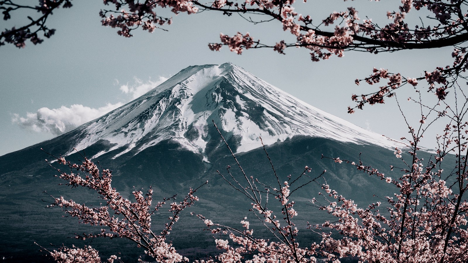Mount Fuji Winter Wallpapers - Wallpaper Cave