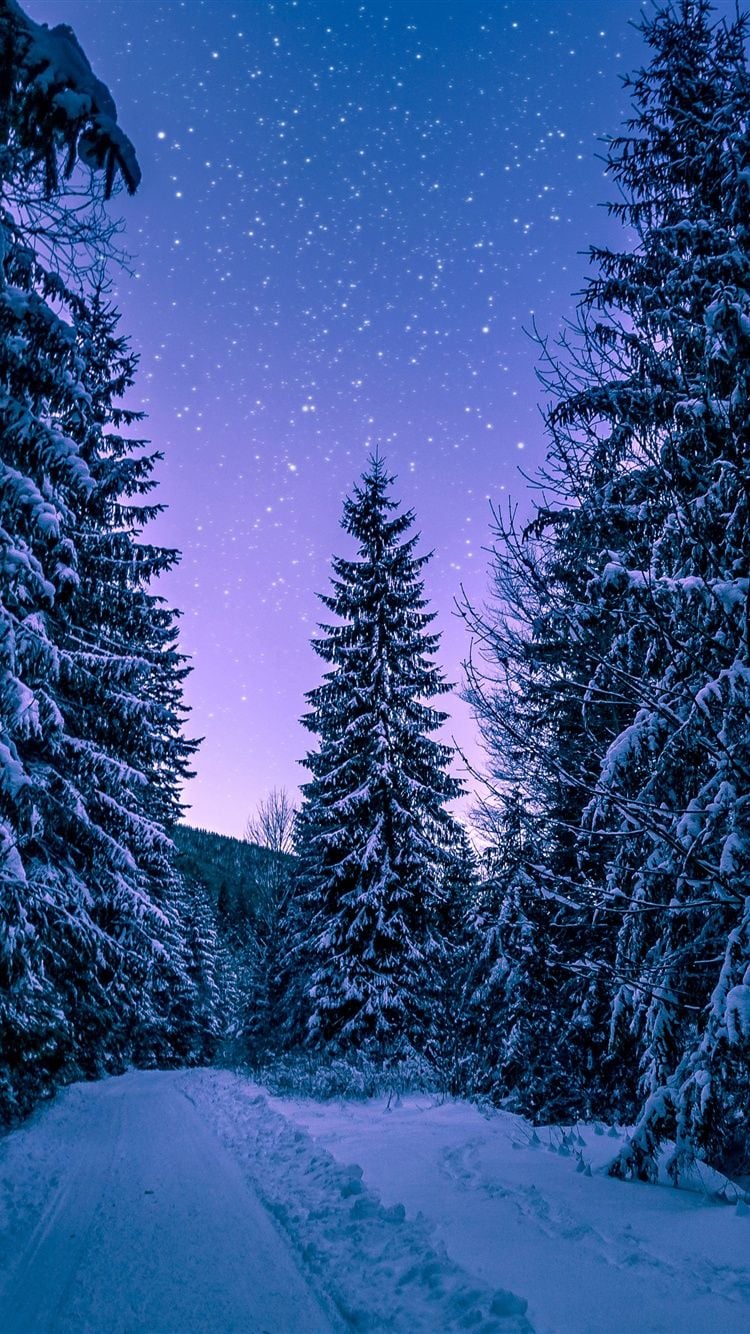 Winter Landscape Night Wallpapers - Wallpaper Cave