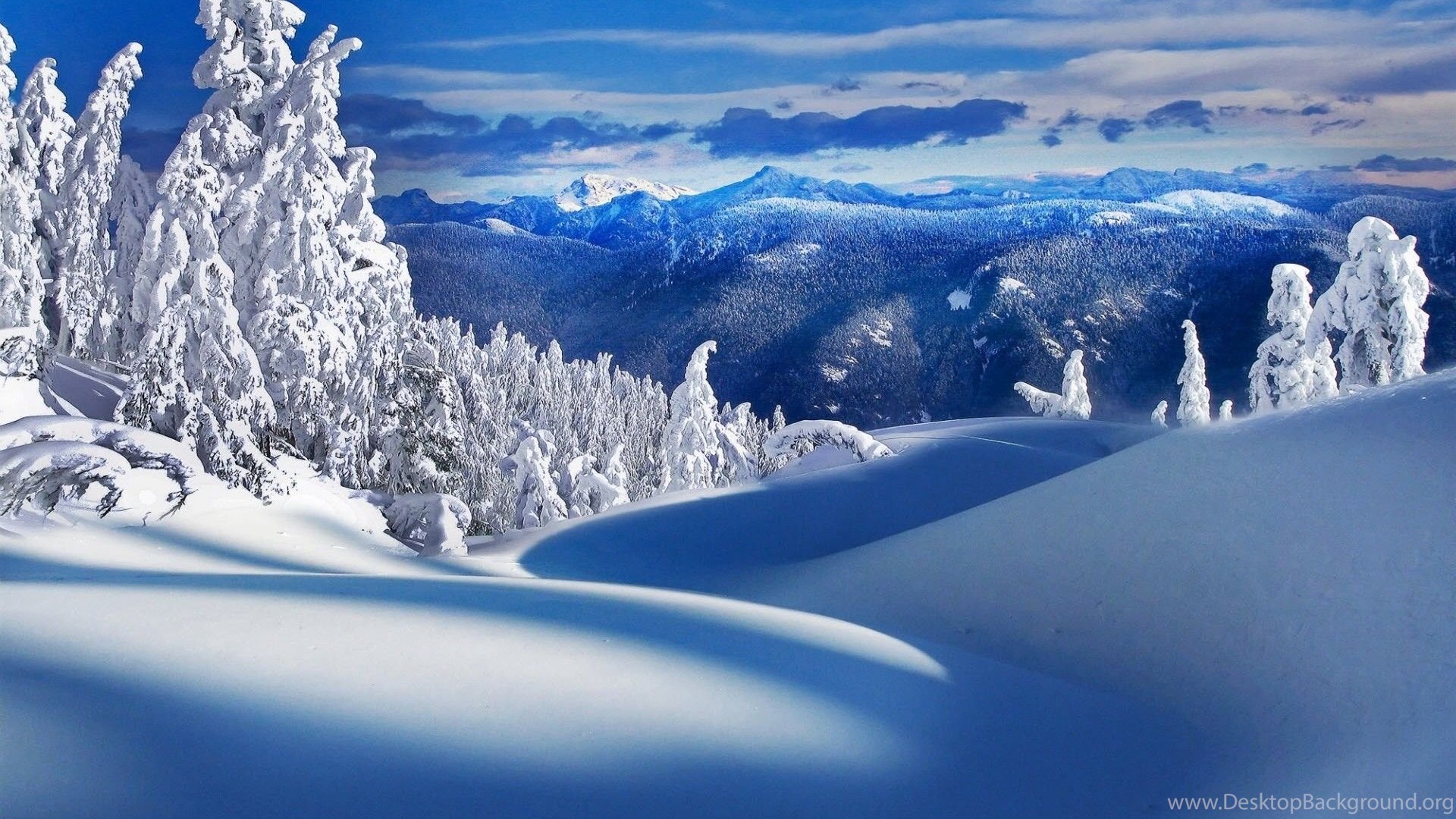 Christmas Snowy Scene Wallpapers - Wallpaper Cave