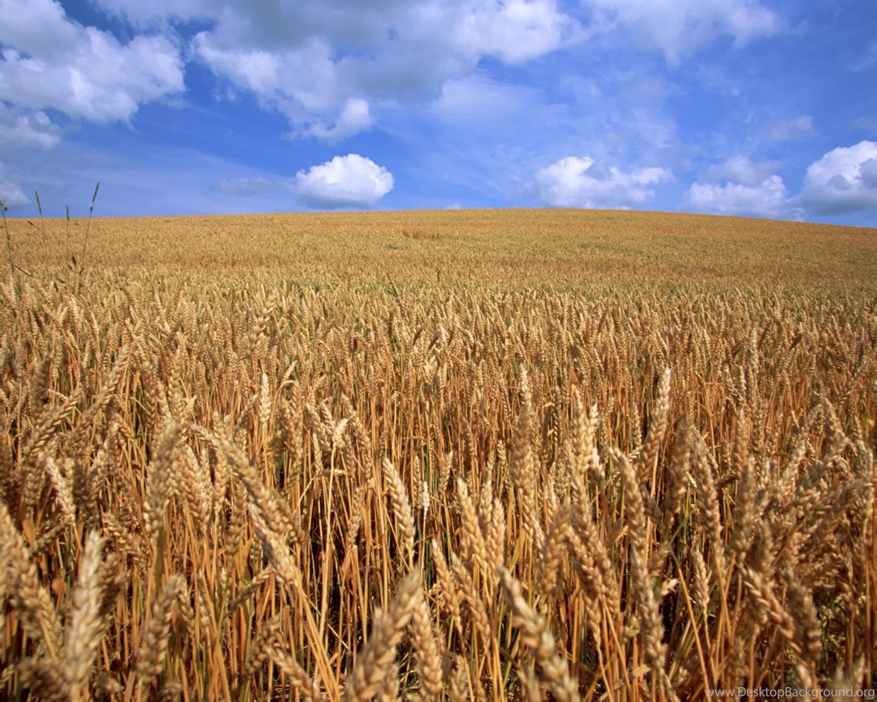 Farm Land Wallpapers - Wallpaper Cave