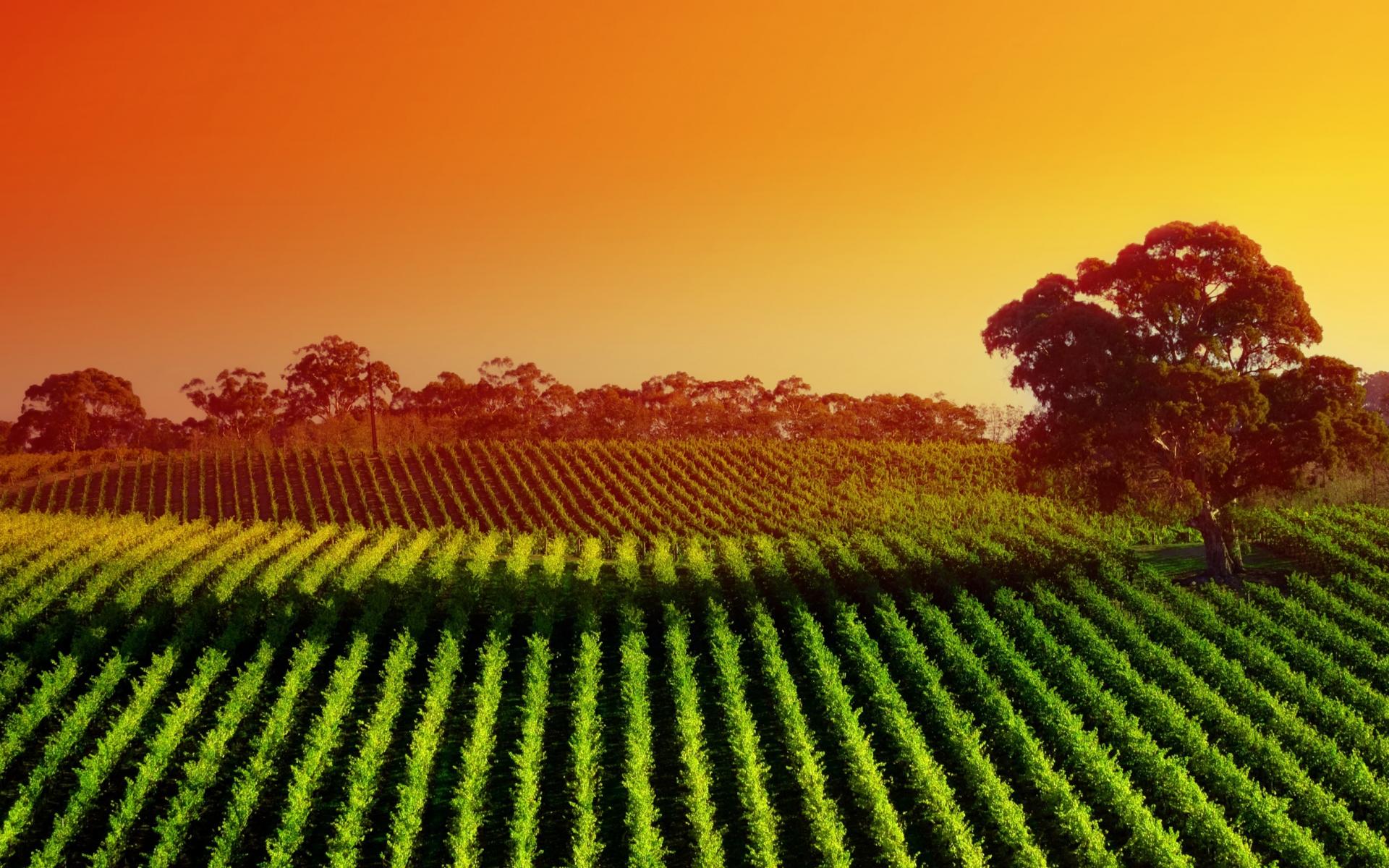 Farm Land Wallpapers - Wallpaper Cave