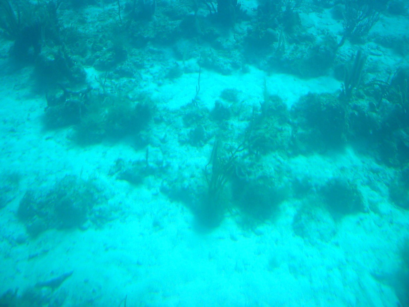 Sea Floor Wallpapers - Wallpaper Cave