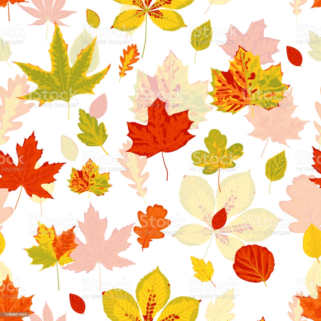 Autumn Vector Wallpapers - Wallpaper Cave