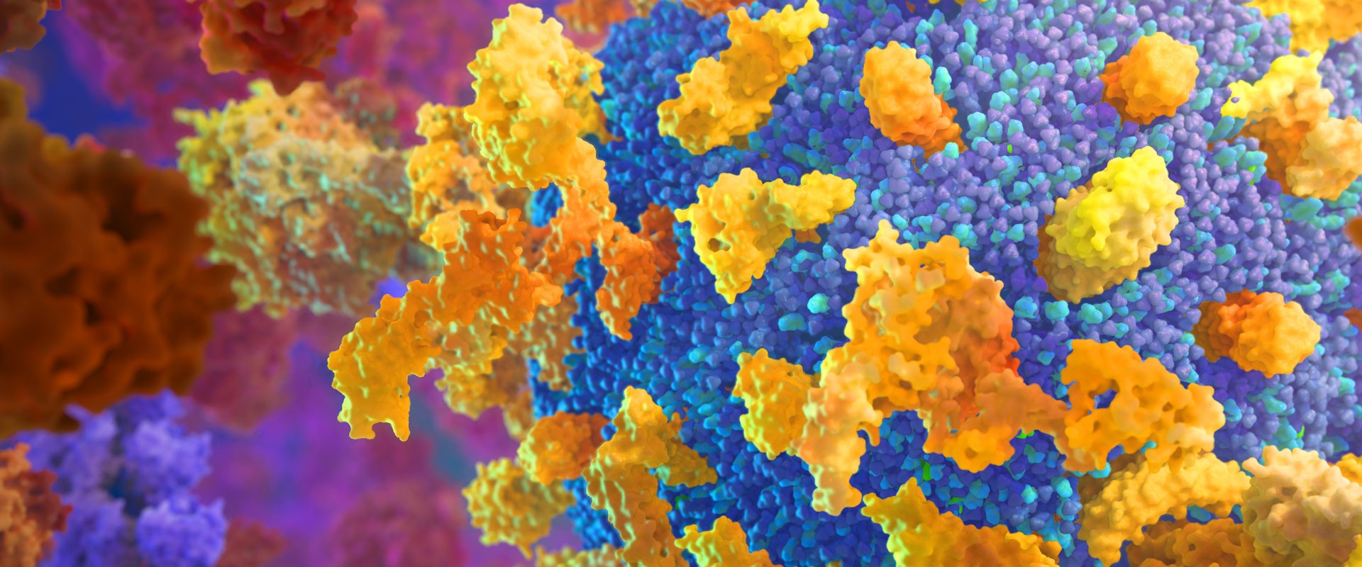 Human Cell Wallpapers - Wallpaper Cave