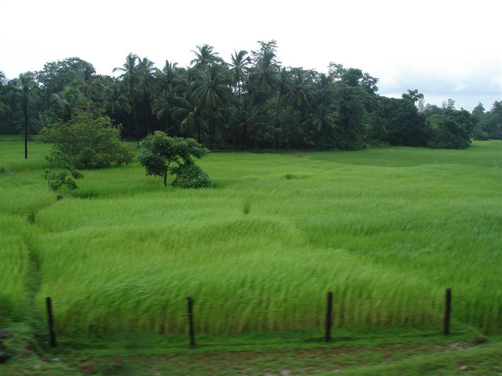 Konkan Wallpapers - Wallpaper Cave