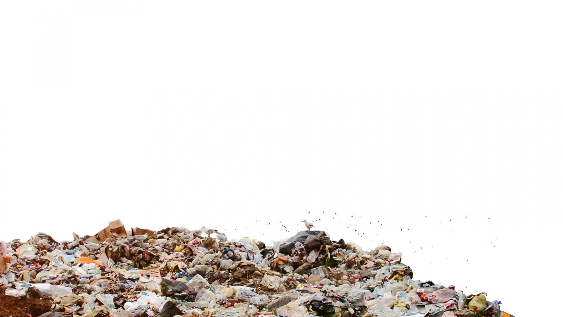 Food Waste Wallpapers - Wallpaper Cave