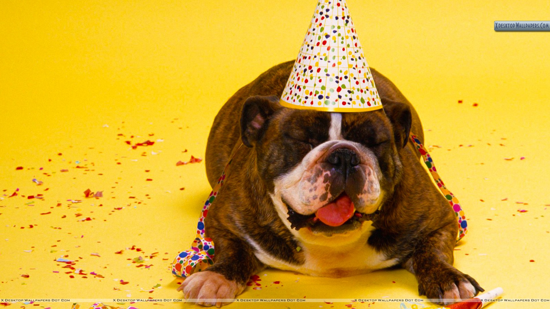 Party Time Wallpapers - Wallpaper Cave