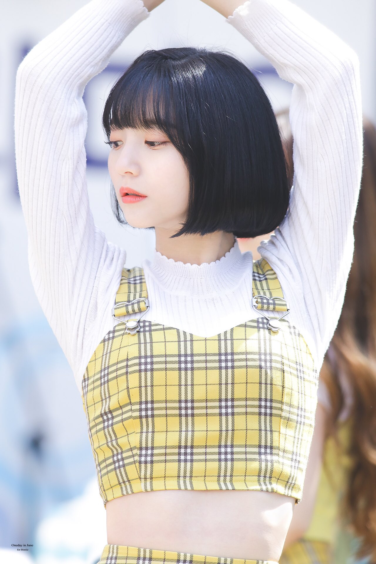 Binnie Wallpapers - Wallpaper Cave