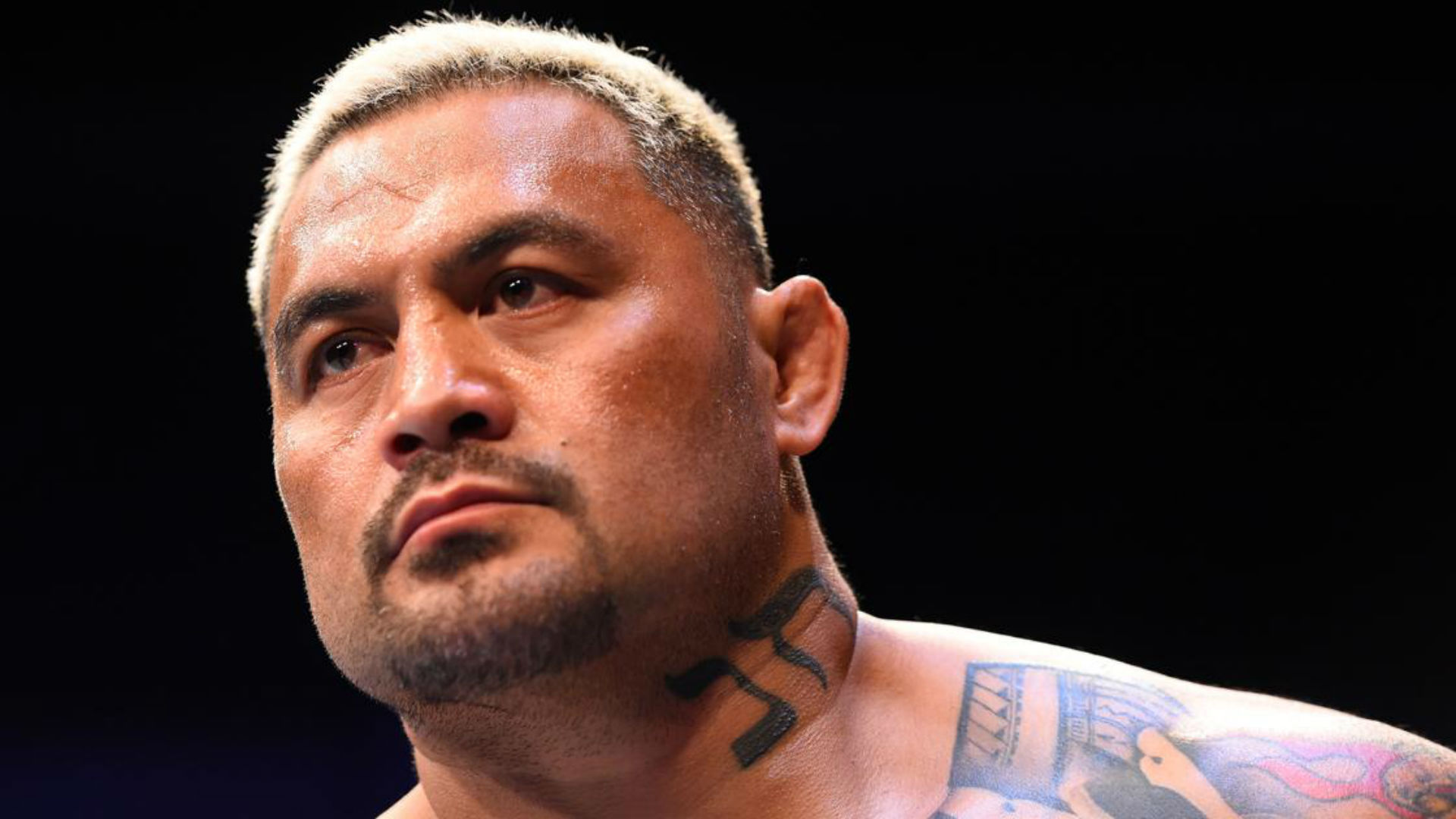 Mark Hunt Wallpapers - Wallpaper Cave