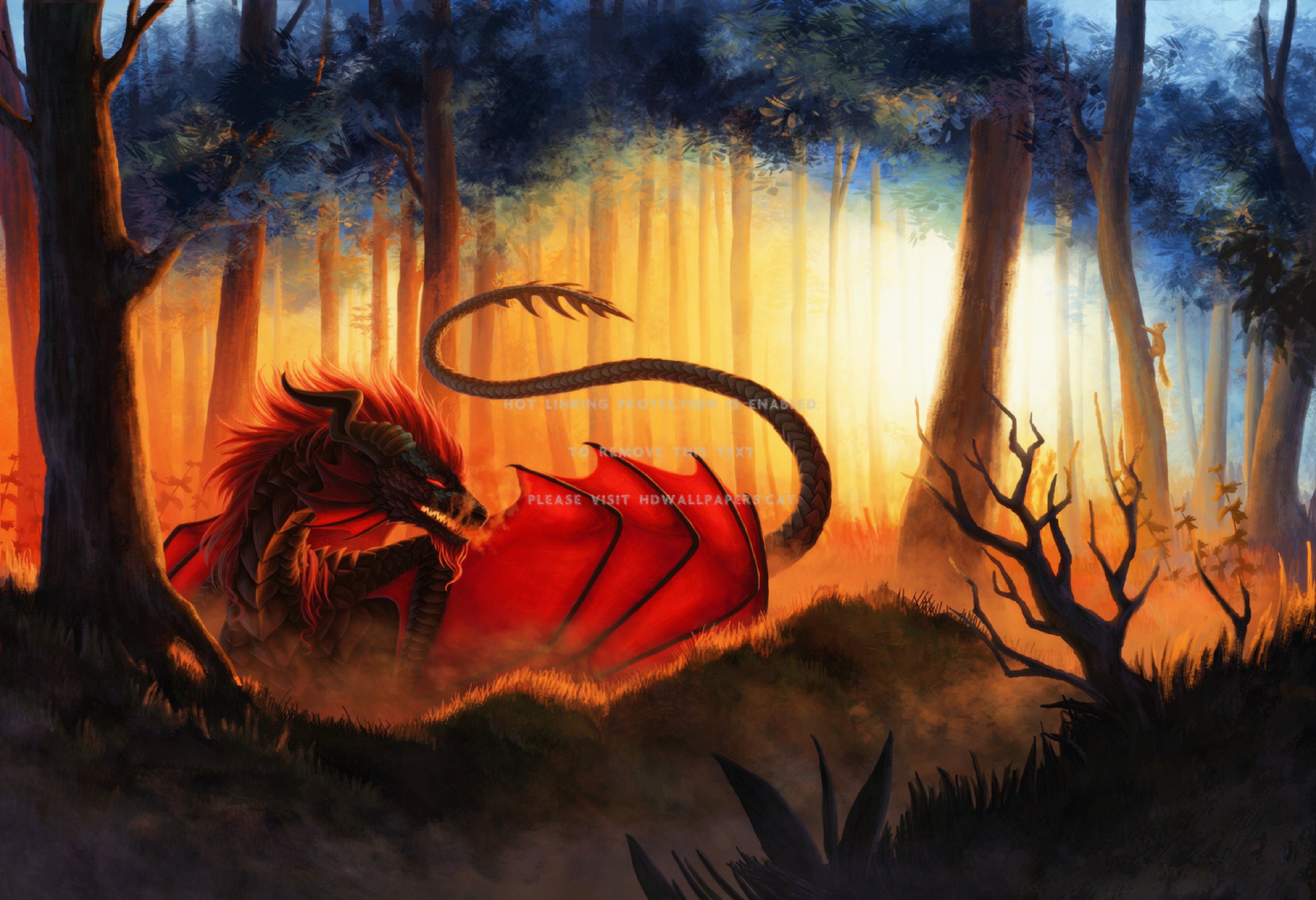 Forest Dragon Wallpapers - Wallpaper Cave